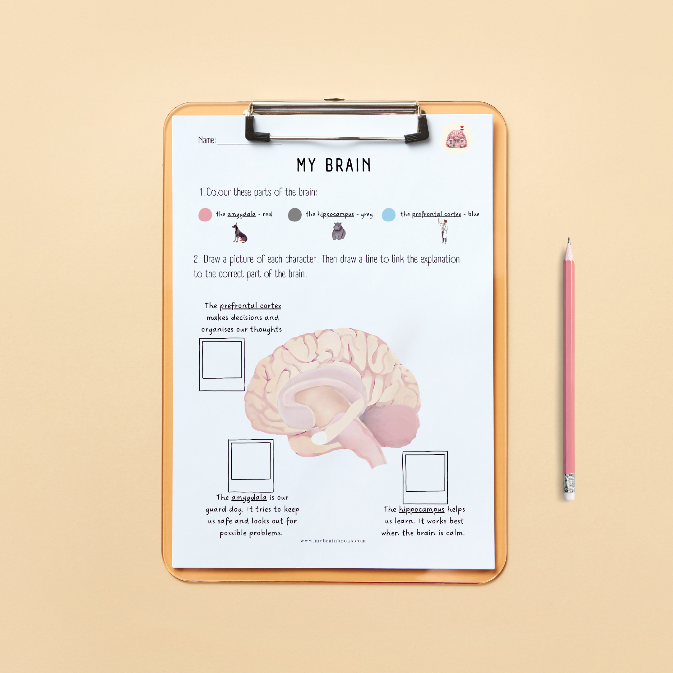 Worksheet Bundle (Digital Download) – My Brain Books