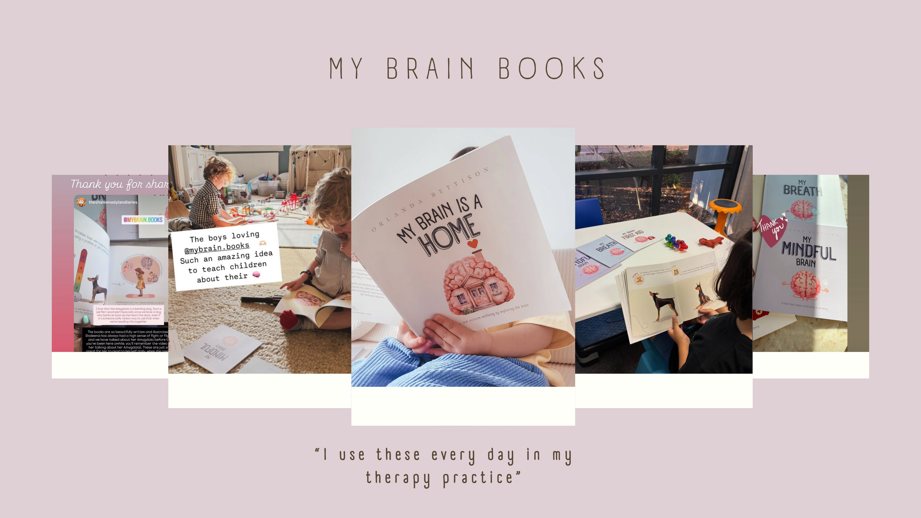My Brain Books