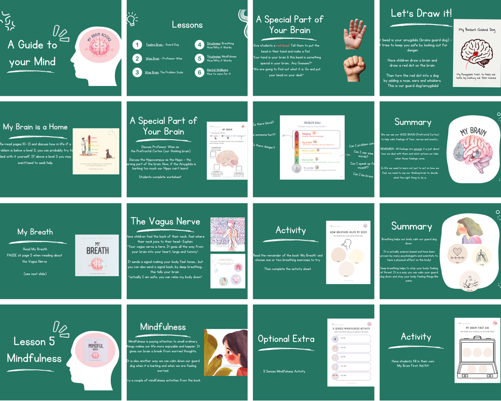 Lesson Package- Powerpoint, Activities & Worksheets – My Brain Books