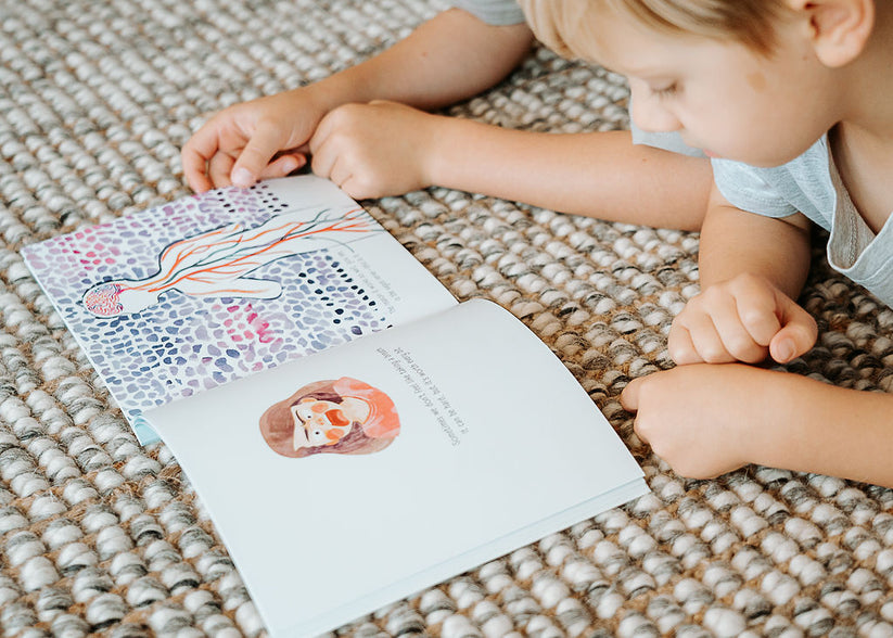 My Brain Book Bundle – My Brain Books