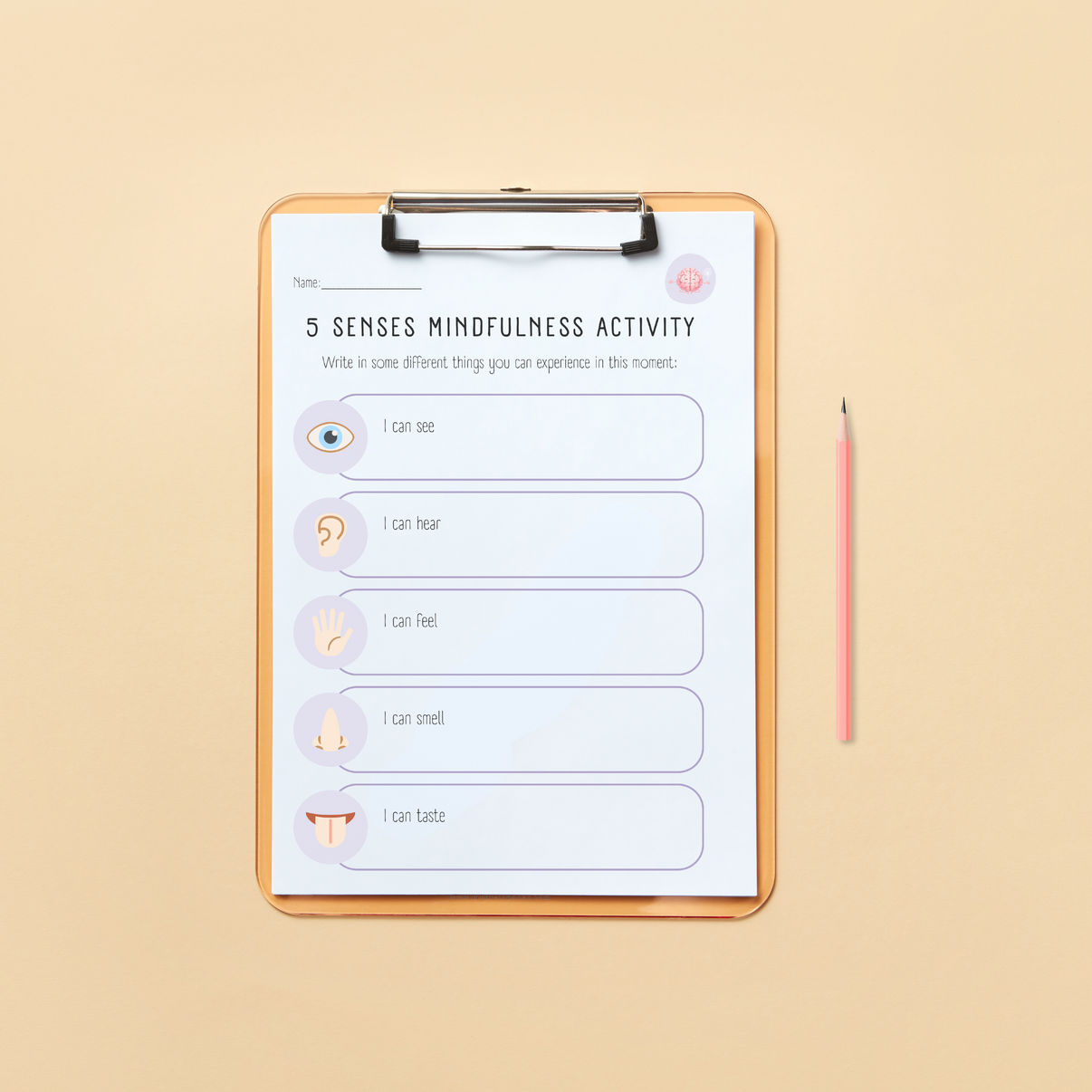 Worksheet Bundle (Digital Download) – My Brain Books